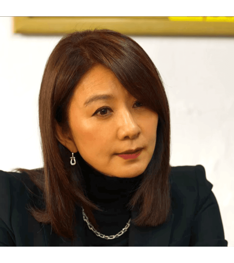 Queenmaker Hwang Do-Hee (Kim Hee-Ae) Inspired Earrings 005 Free ...